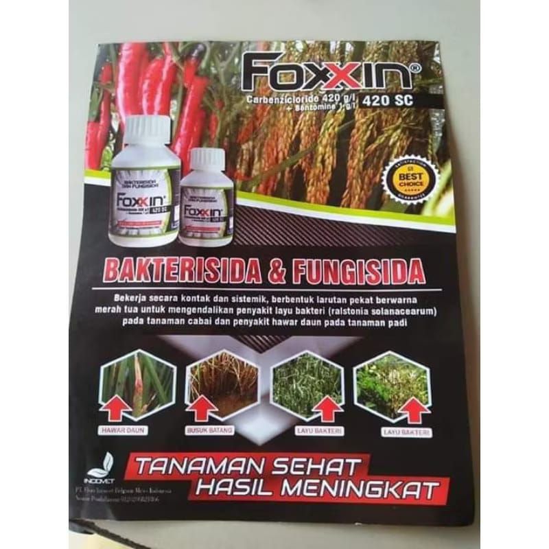 Jual Fungisida dan Bakterisida Foxxin 100ml | Shopee Indonesia