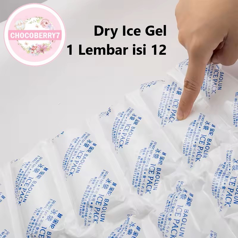 Jual Thermafreeze Dry ice Ice gel Pack Pendingin Makanan Frozen Food ...