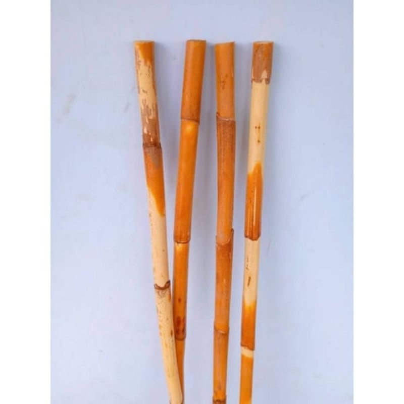 Jual kayu rotan 1 meter batangan diameter +/- 3 cm | Shopee Indonesia