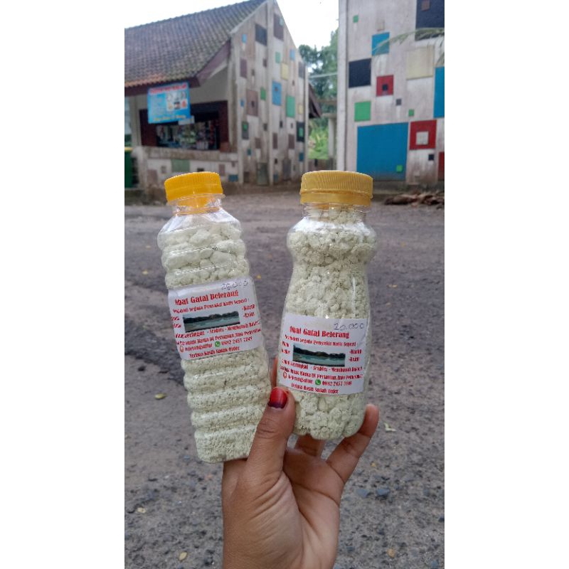 Jual Belerang kering atau belerang basah asli 100% kemasan botol ...