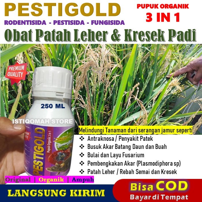 Jual Obat Semprot Patah Leher Padi Rebah Semai dan Kresek pada Tanaman ...