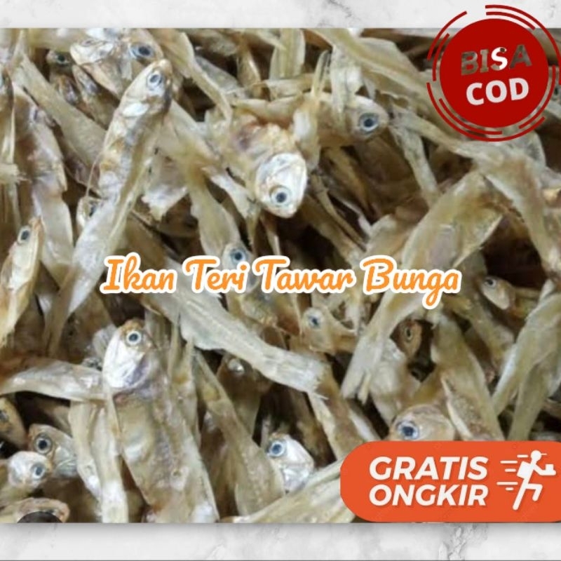 Jual Ikan Teri Tawar Bunga | Ceples |Teri sibolga Medan Sedang 250gr ...