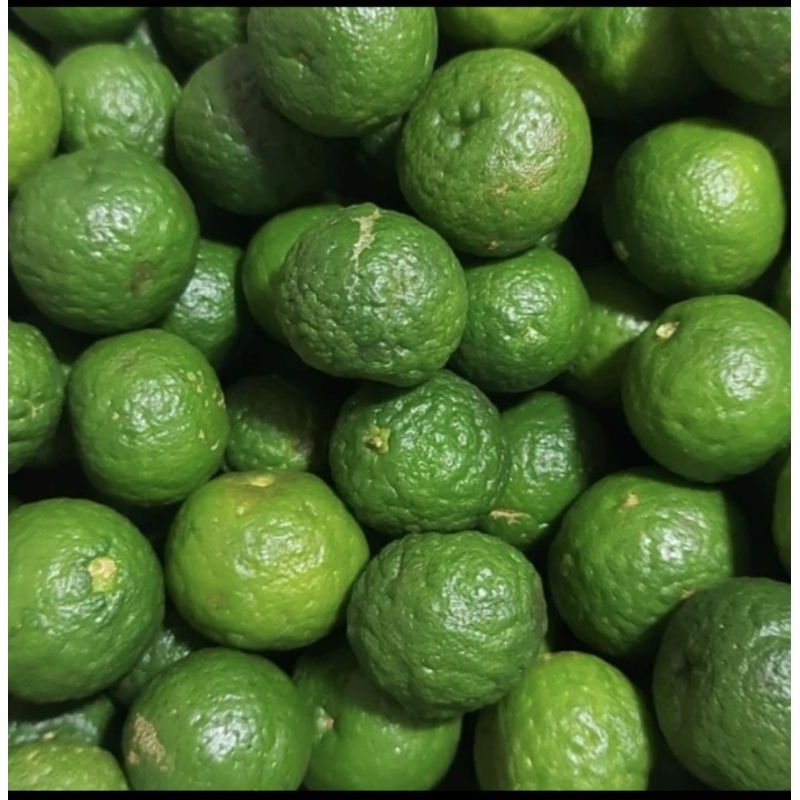 Jual jeruk sambal/jerul limau harga per1kg | Shopee Indonesia