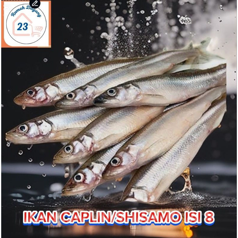 Jual ikan capelin shisamo/sisamo isi 8 170gr | Shopee Indonesia
