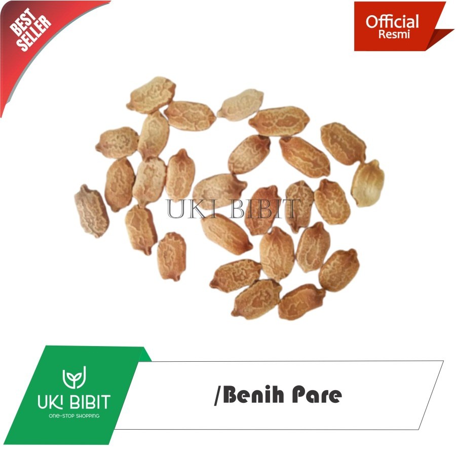 Jual ( 10 Butir ) Benih Biji Pare | Benih Paria | Pare Hijau | Paria ...