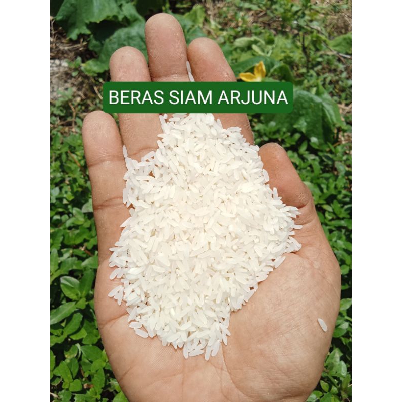 Jual BERAS BANJAR / SIAM ARJUNA / BERAS KALIMANTAN / BERAS INSTANT ...