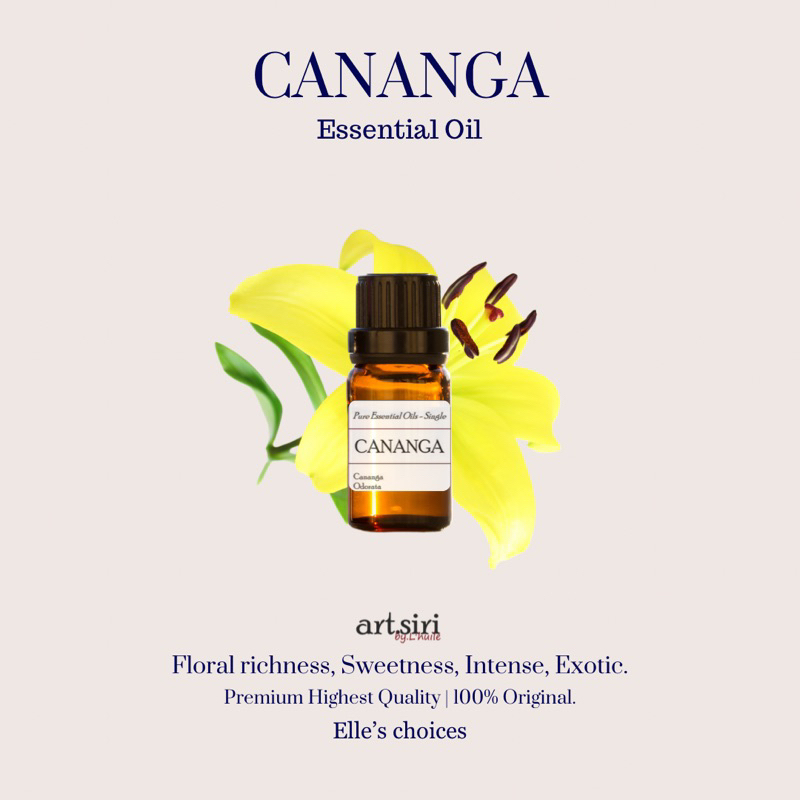 Jual CANANGA Essential Oil | Shopee Indonesia