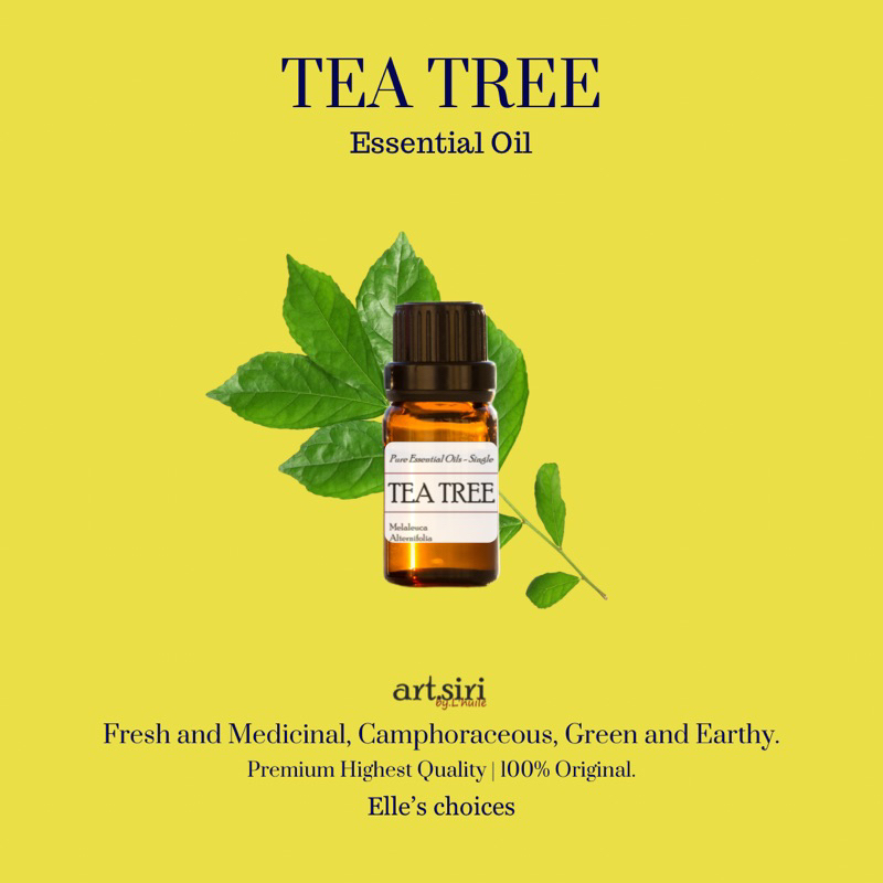 Jual TEA TREE Essential Oil | Shopee Indonesia