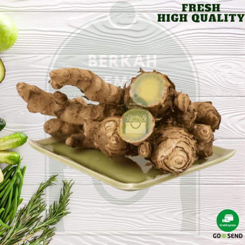 Jual Temu ireng / temu hitam segar - 500gr | Shopee Indonesia