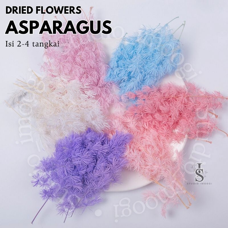 Jual [1BOX] ASPARAGUS RETROFRACTUS NATURAL DRIED / PRESEVED ASPARAGUS ...