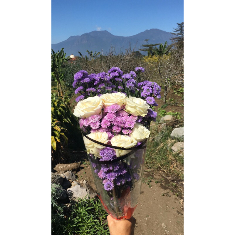 Jual fresh flower buket asli bunga segar premium | Shopee Indonesia