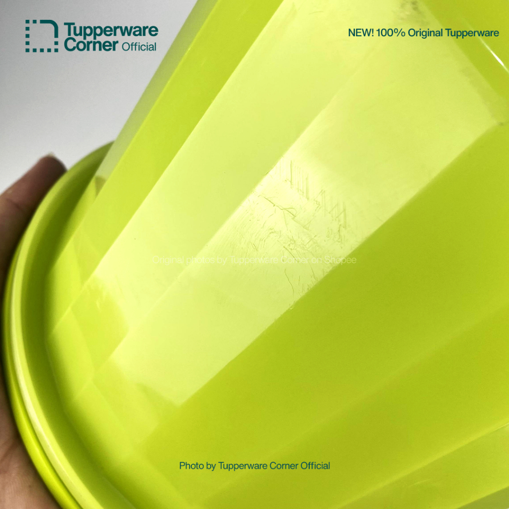 Jual Tupperware Double Wall Container Kondisi Baret samar | Shopee ...