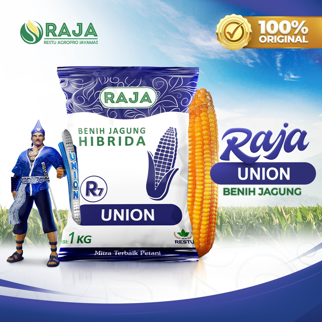 Jual Benih Jagung Raja R7 Union - 1kg | Shopee Indonesia