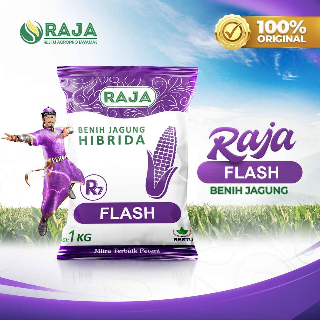 Jual Benih Jagung Hibrida RAJA R7 Flash - 1kg | Shopee Indonesia