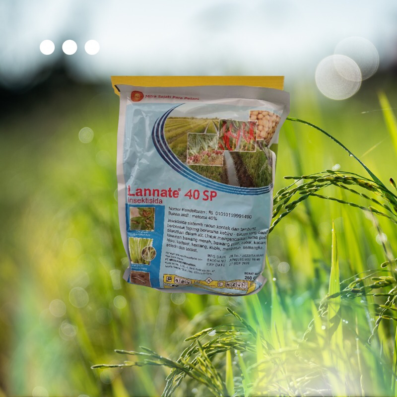 Jual Lannate 40 SP | Shopee Indonesia