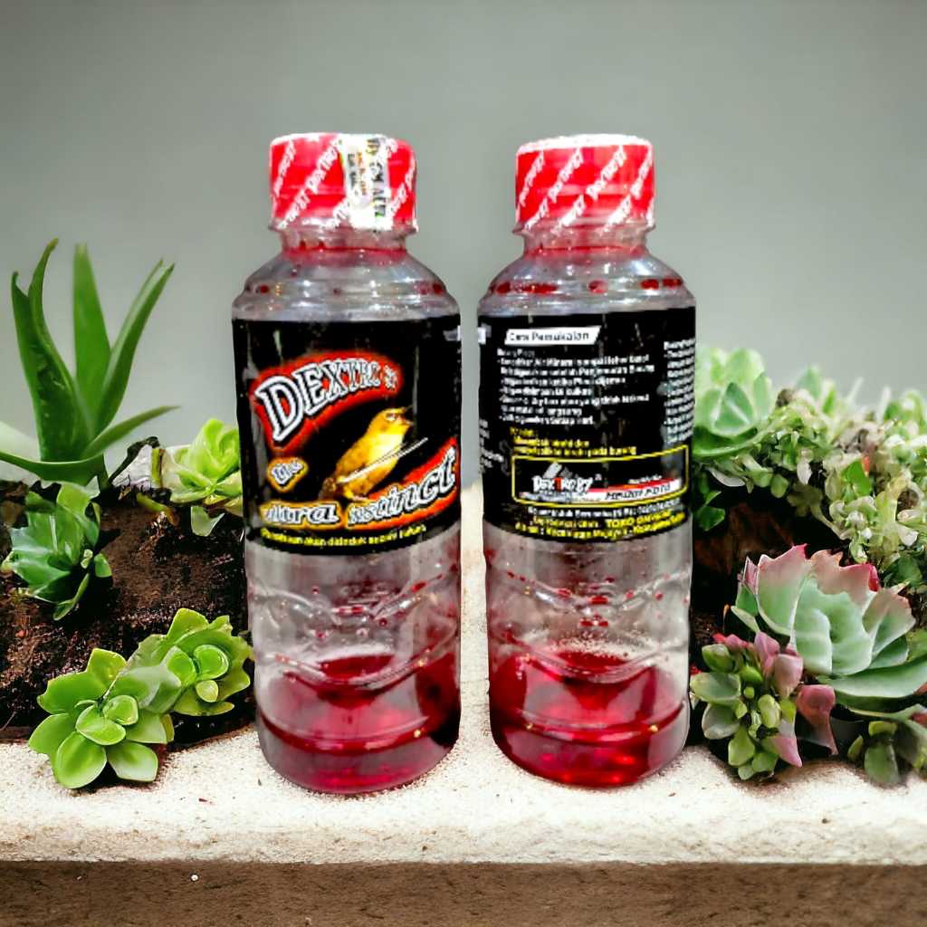 Jual DEXTRO87 ORIGINAL DEXTRO 87 PENGGACOR PLECI SOGON DAN KONIN ...