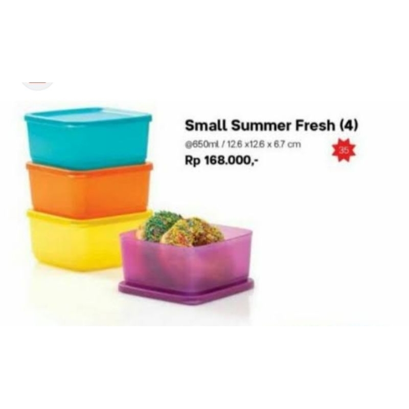 Jual Small Summer Tupperware (eceran per Pc) | Shopee Indonesia