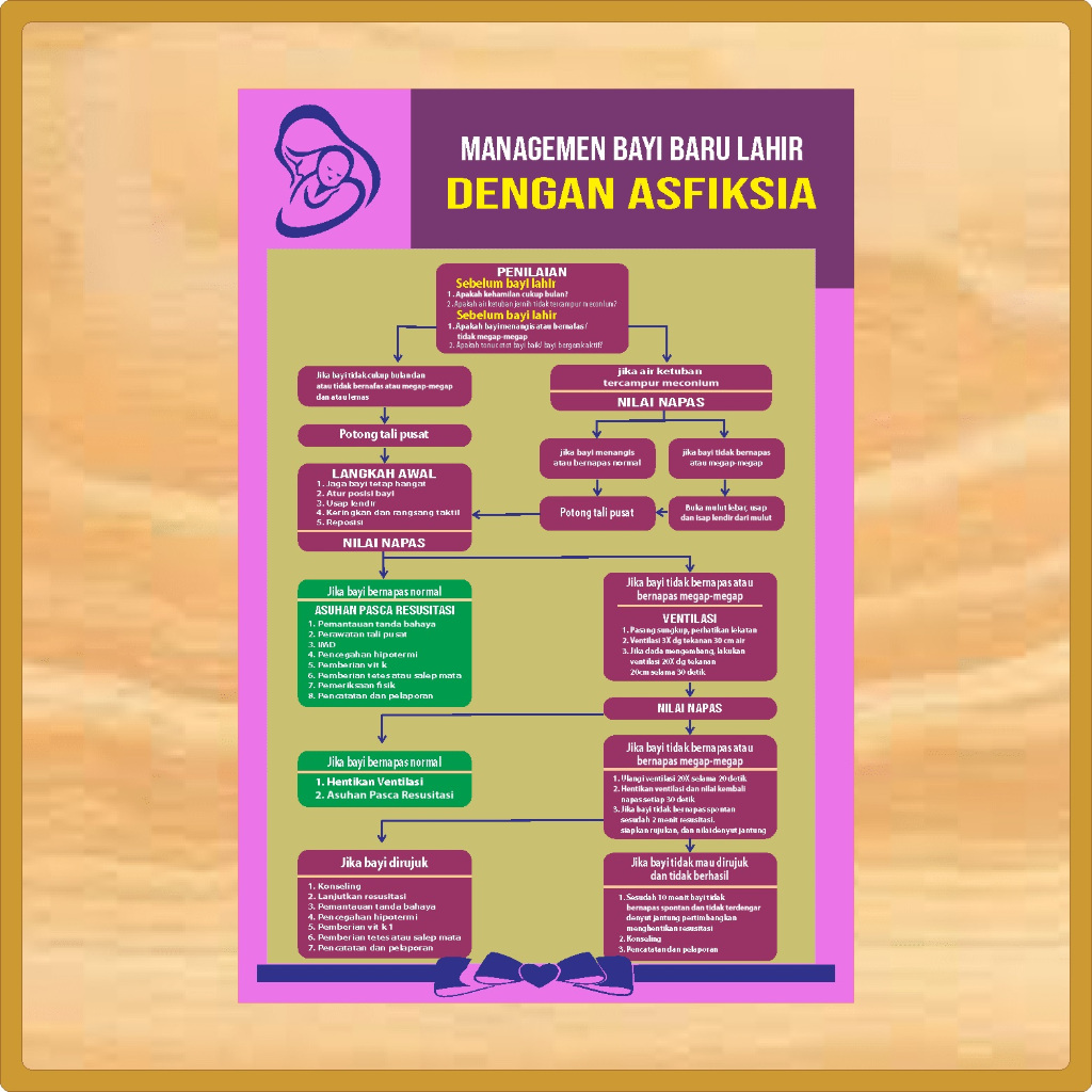 Jual Stiker Poster Manajemen Bayi Baru Lahir dengan Asfiksia, Stiker ...