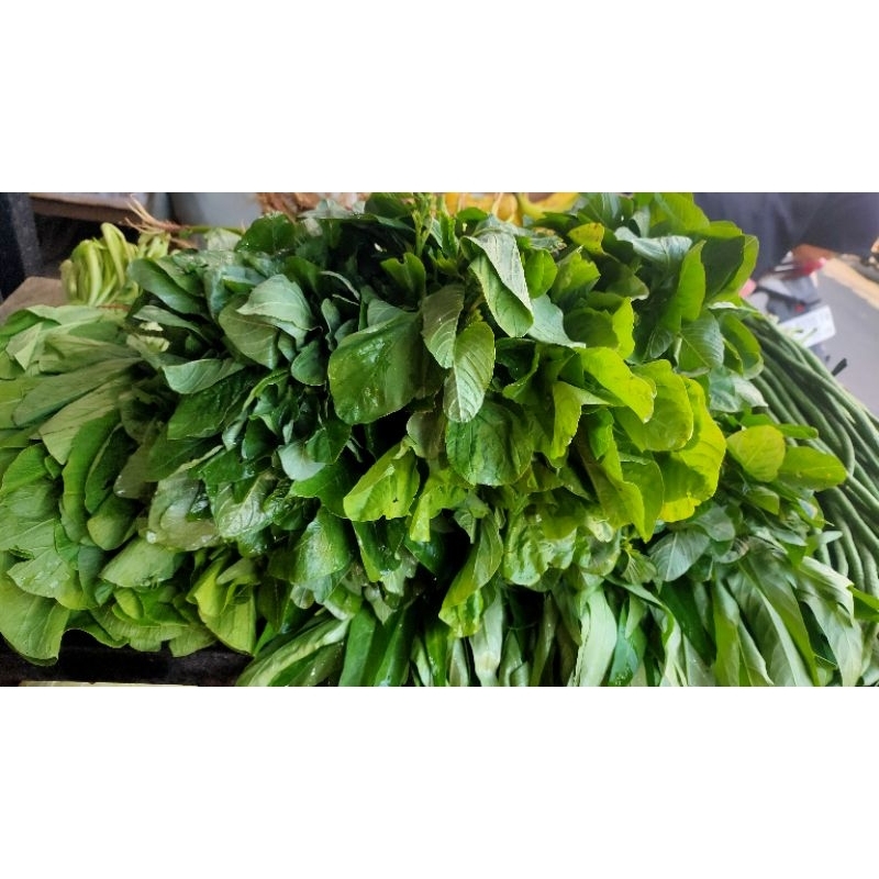 Jual INSTAN bayam potong bayam air bayam akar spinach | Shopee Indonesia
