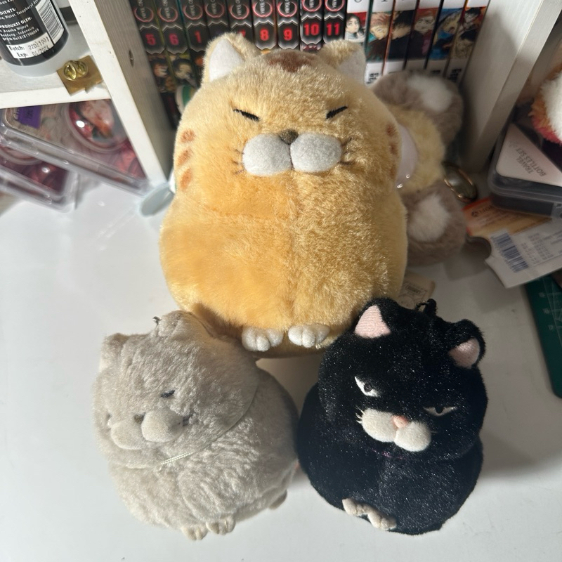 Jual boneka doll cat kucing amuse orange oren gray abu abu hitam black ...