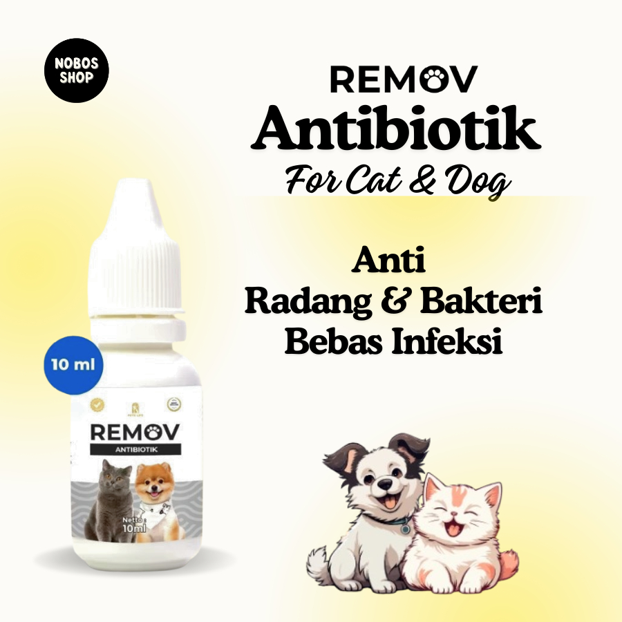 Jual Antibiotik Kucing Anti Radang Flu Batuk Infeksi Pernafasan Kucing ...