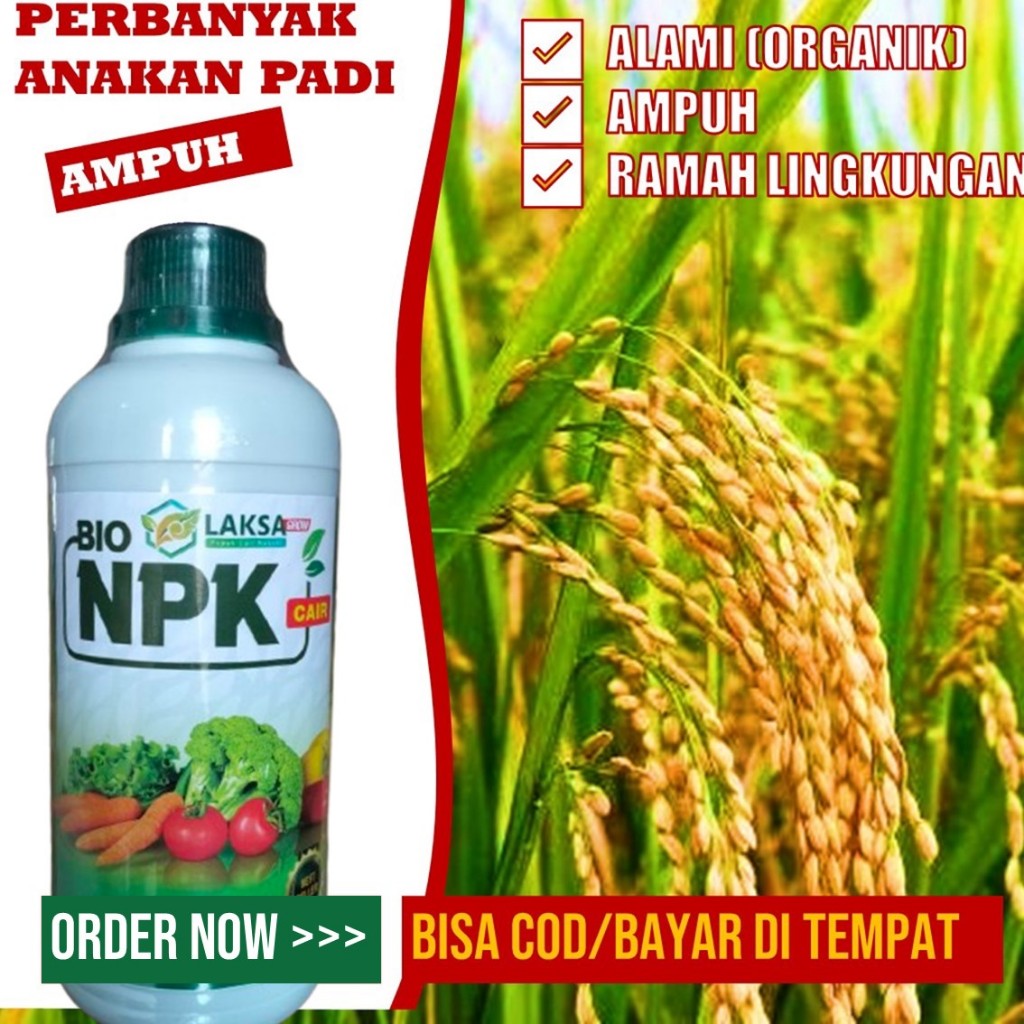 Jual PROMO OBAT UNTUK ANAKAN PADI AGAR Cepat LEBAT & BANYAK, NPK CAIR BIO NPK LAKSA GROW isi 500 ...
