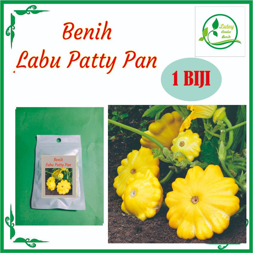 Jual BENIH LABU PATTY PAN ISI 1 BIJI | Shopee Indonesia