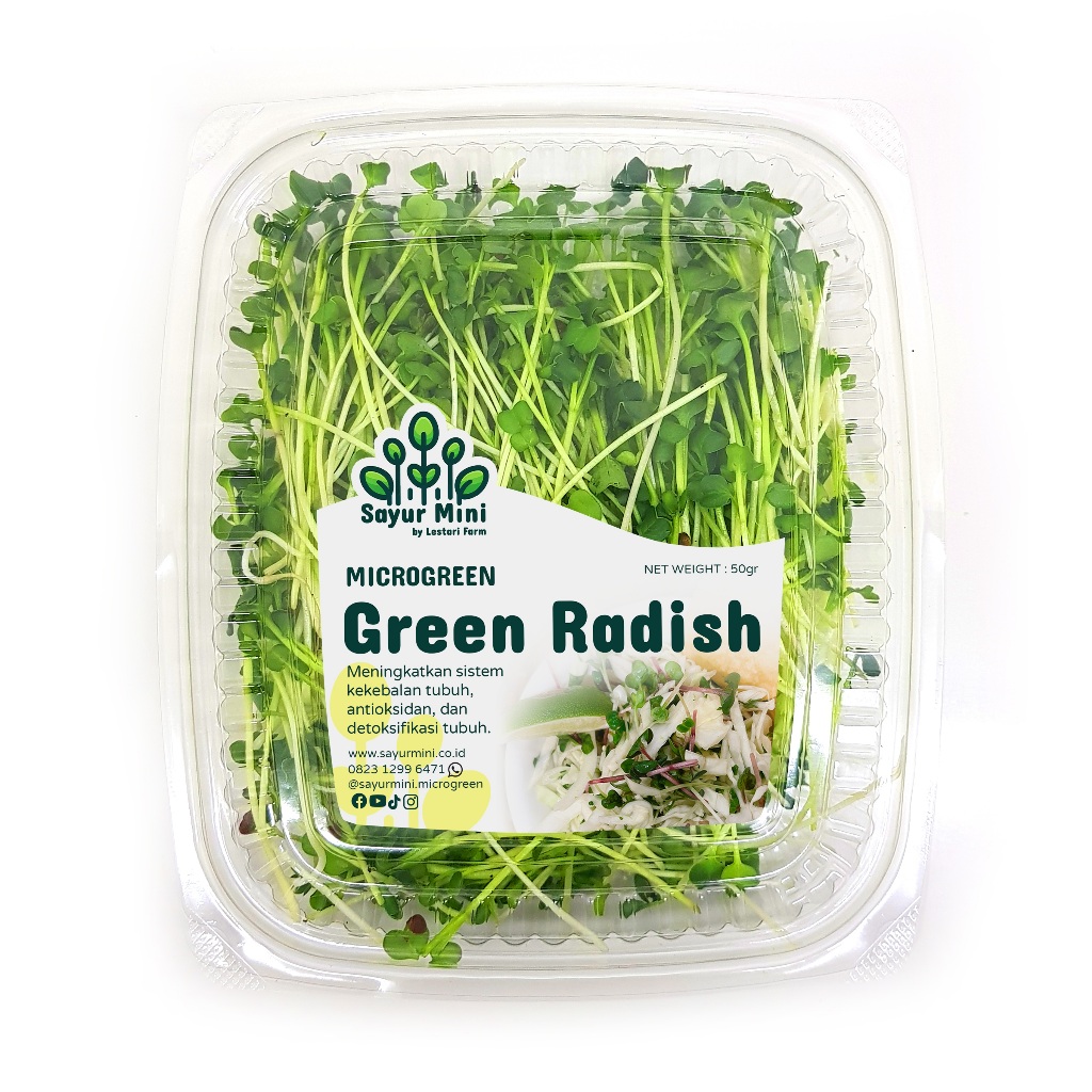 Jual SAYUR MINI Microgreen Green Radish 50gr - White Radish - Salad ...