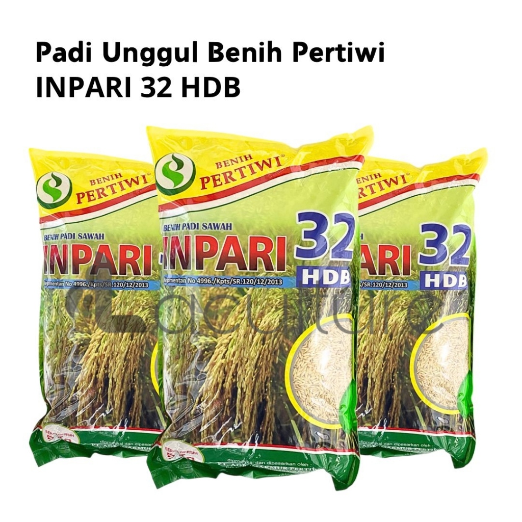 Jual Benih Padi Sawah Unggul INPARI 32 HDB 5 Kg Benih Pertiwi | Shopee Indonesia