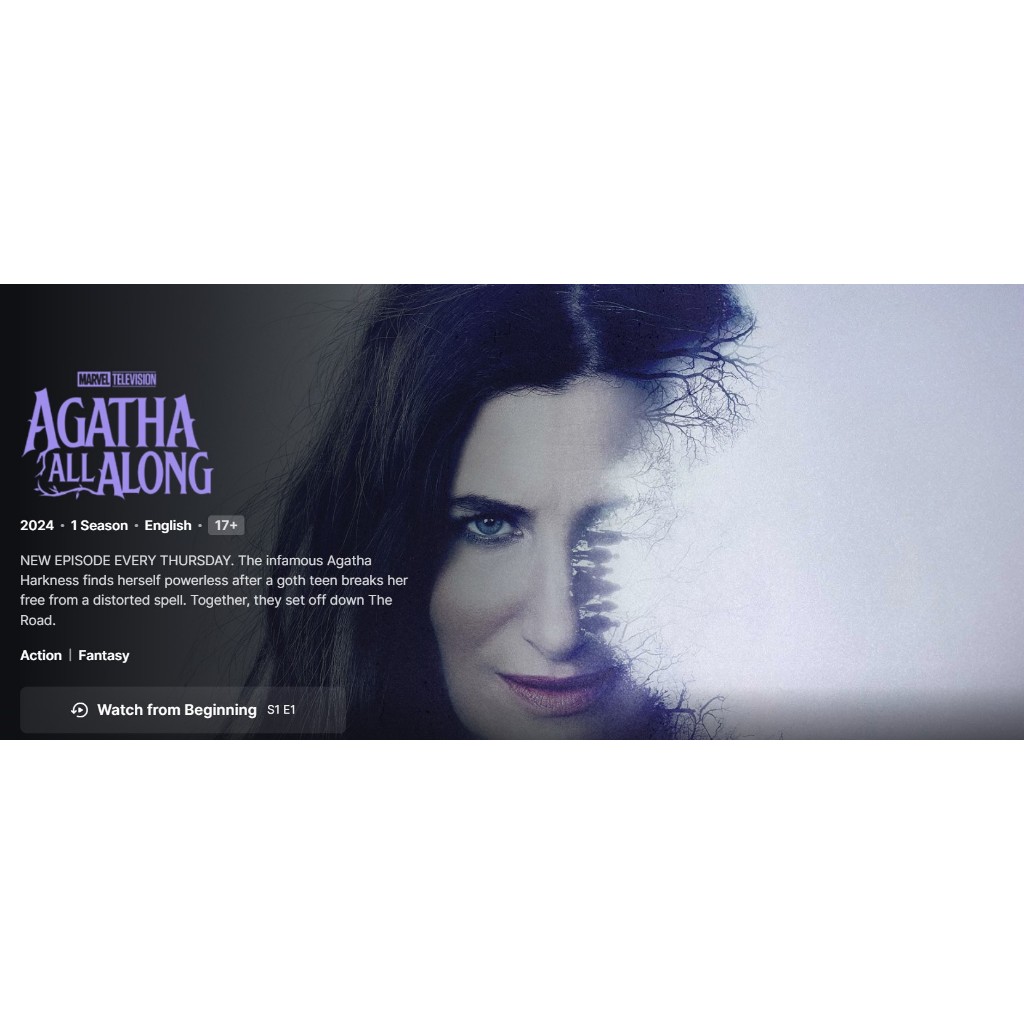 Jual Dsney Hotstar ID Premium - Hostar | Shopee Indonesia