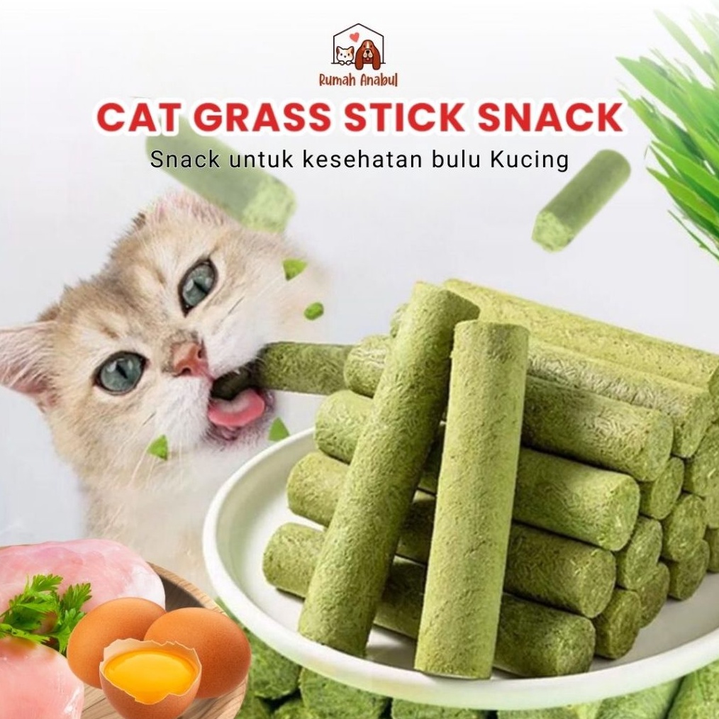 Jual Cat Grass Stick Snack Kucing Anti Hairball Rumput Kucing Bentuk ...