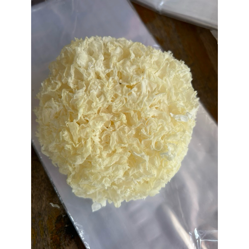 Jual Jamur Salju - Jamur Putih - Jamur Es | Shopee Indonesia