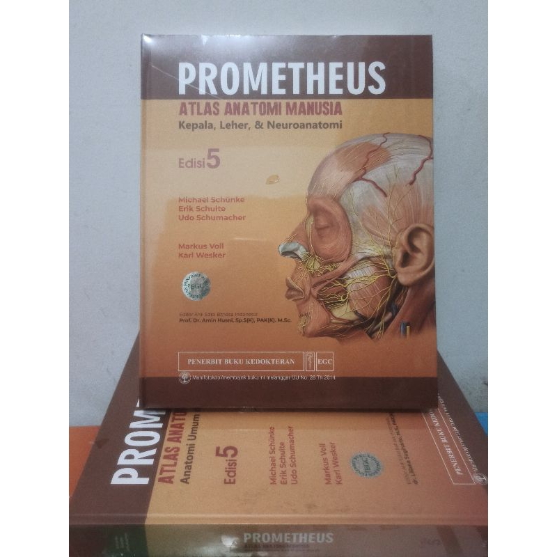 Jual PROMETHEUS ATLAS ANATOMI MANUSIA Kepala, Leher & Neuroanatomi ...