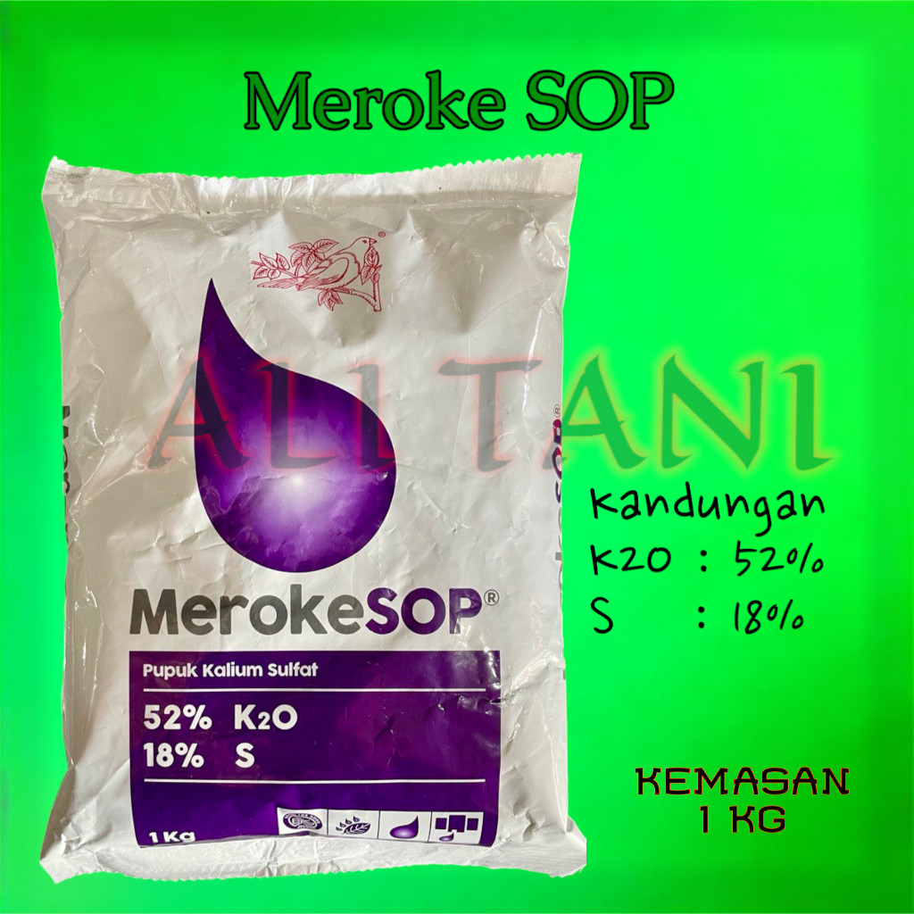 Jual SOP Meroke Kemasan 1 KG Pupuk Kalium Sulfat untuk Nutrisi ...