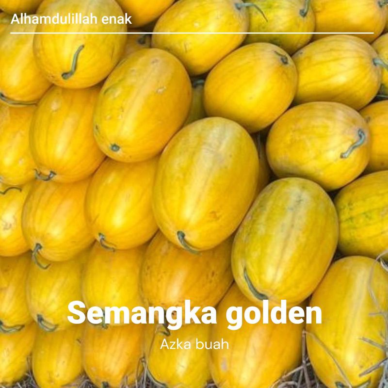 Jual buah semangka golden | Shopee Indonesia