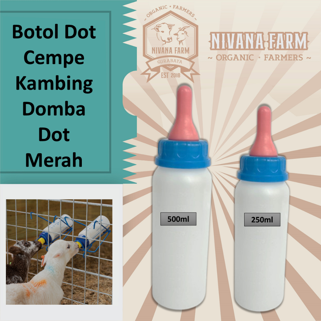 Jual Botol Dot Cempe Kambing Domba Dot Merah 250ml dan 500ml | Shopee ...
