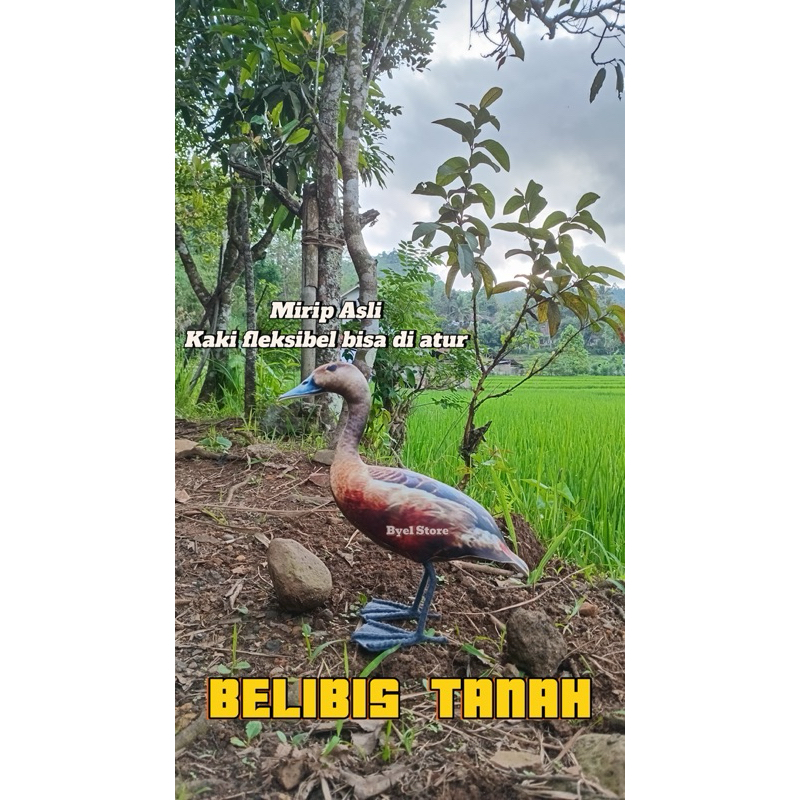 Jual Jontrot patung belibis KEMBANG | Shopee Indonesia
