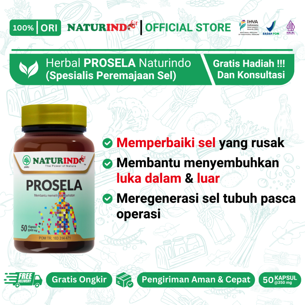 Jual Obat Herbal Naturindo Fit - PROSELA Spesial Untuk Mempercepat ...
