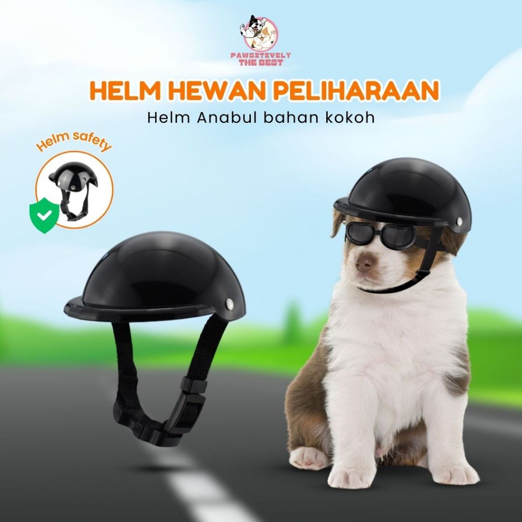 Jual Helm Anjing Kucing - Pet Helmet - Helm Sepeda / Motor Untuk Anjing ...