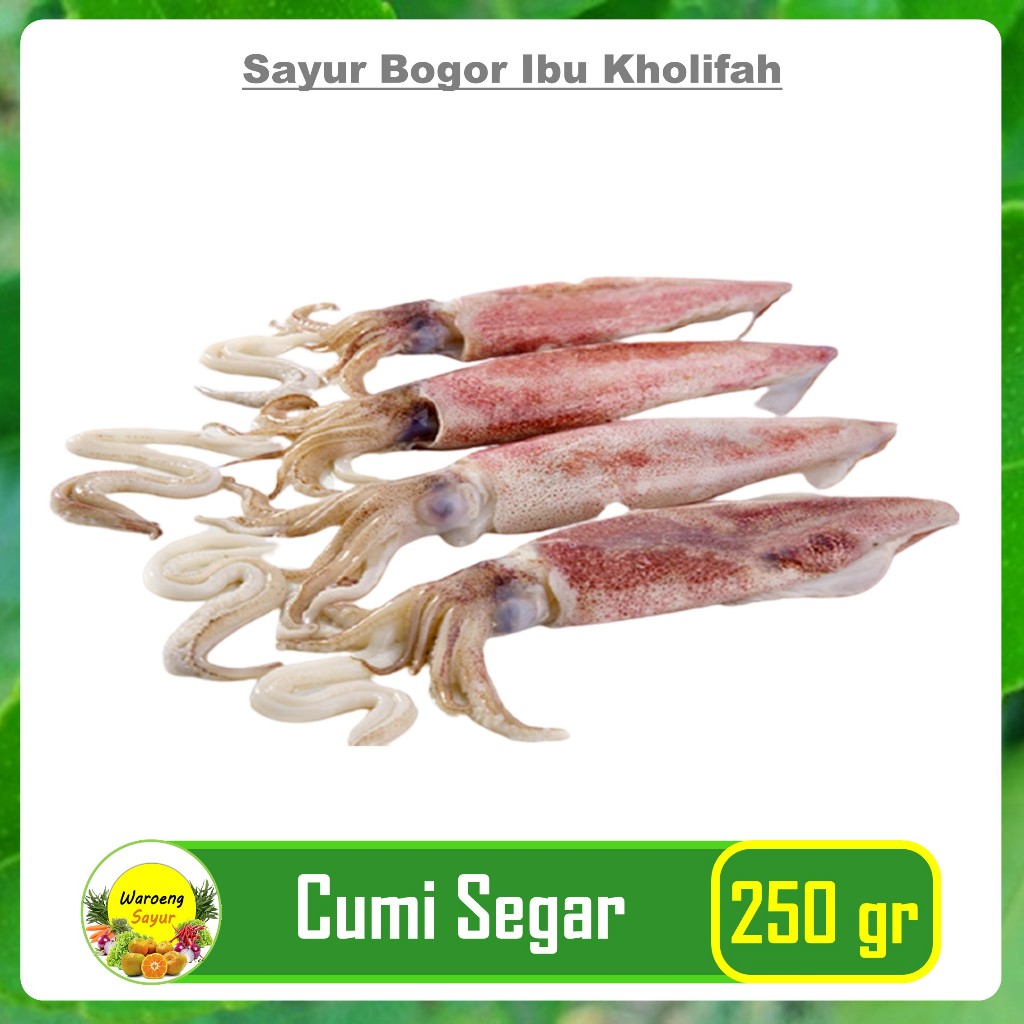 Jual Cumi Cumi Basah250 Gram Segar Ikan Laut Segar Bogor | Shopee Indonesia