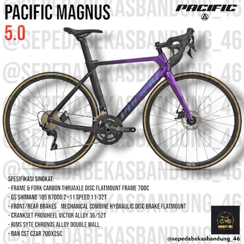 Jual Roadbike/Sepeda Balap Pacific Magnus 5.0 Carbon NEW | Shopee Indonesia