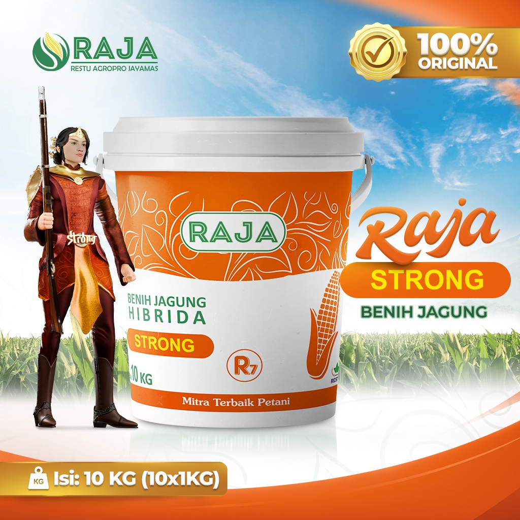 Jual Benih Jagung Raja R7 Strong - 10kg Kemasan Pail/Ember | Shopee Indonesia