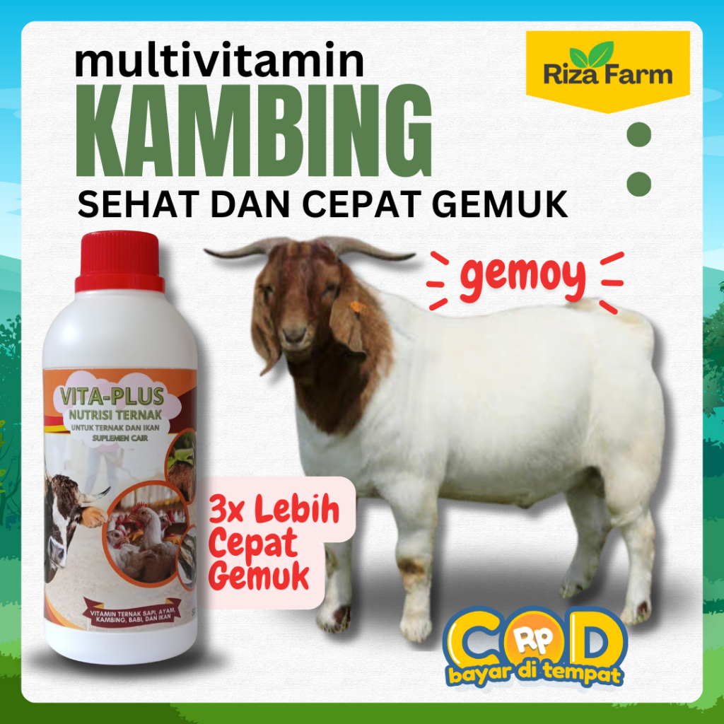 Jual Vitamin Kambing dan Domba Cepat gemuk | Obat penggemuk kambing ...