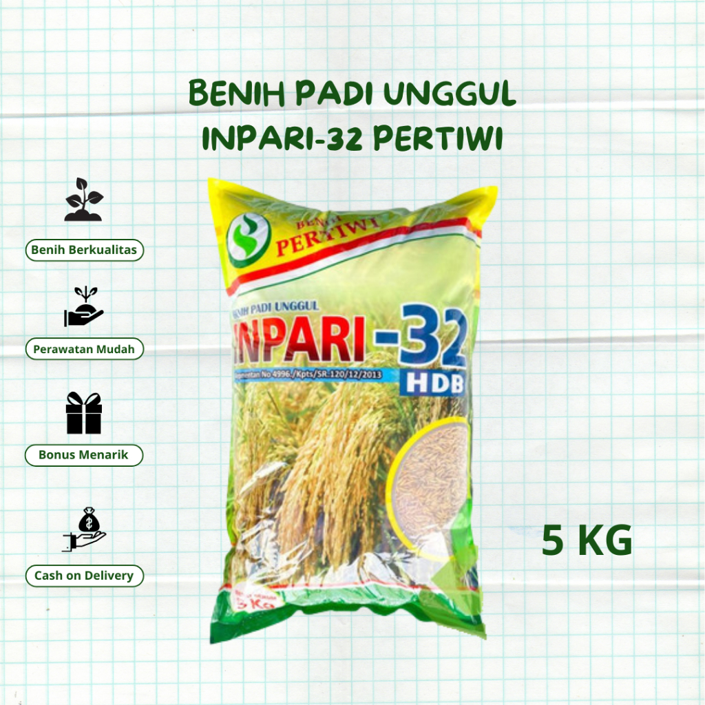 Jual Benih Pertiwi - Benih Padi Inpari 32 (5 Kg) | Shopee Indonesia