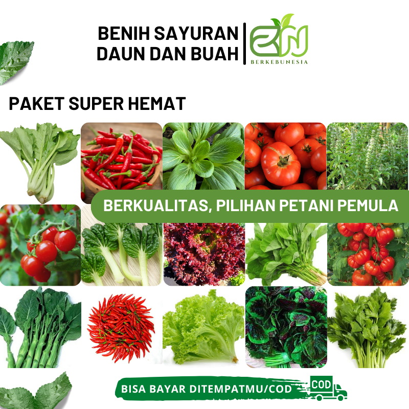 Jual Paket Benih Bibit Sayuran Daun dan Buah Lengkap 1 Paket Bayam ...
