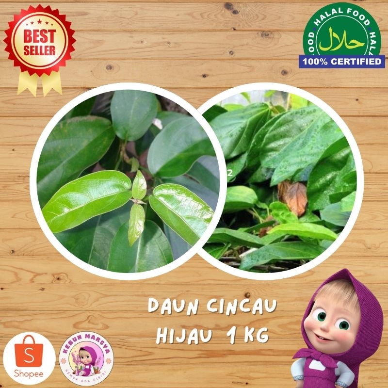 Jual PROMO!!! Daun Cincau Hijau Segar Perdu 1kg - KebunMarsya | Shopee ...