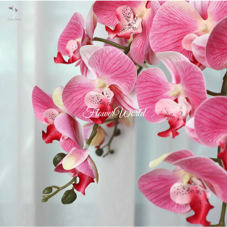 Jual [FlowerWorld]Bunga Anggrek 3D Kain Frosted Pastel 9 Kuntum Jumbo ...