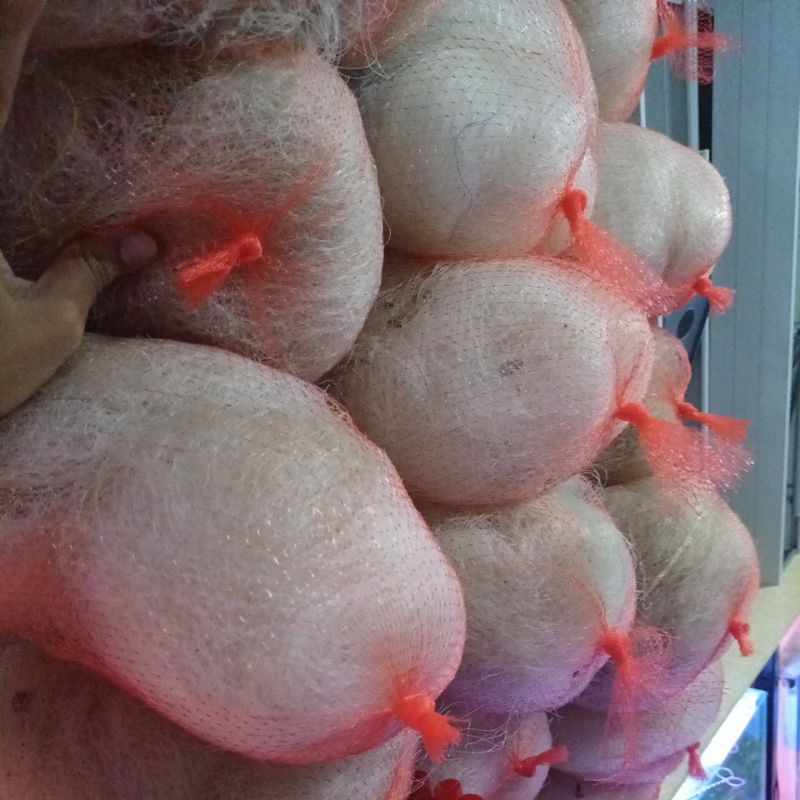 Jual jaring nelayan bekas jaring filter kolam 800gr | Shopee Indonesia