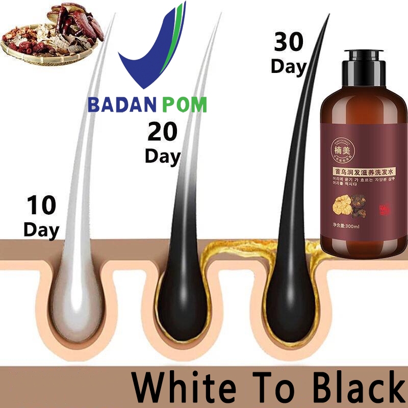 Jual BPOM ORI Shampo Penghitam Rambut / Dari Putih Menjadi Hitam ...