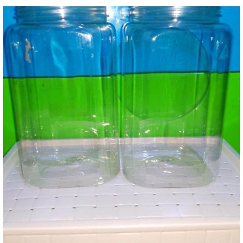 Jual toples bening untuk ikan cupang ukuran 2liter | Shopee Indonesia